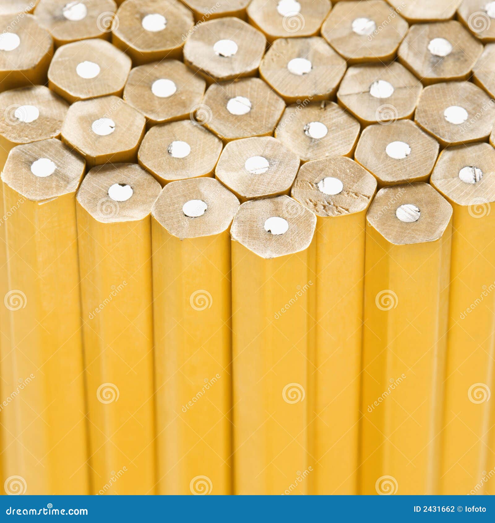 Unsharpened Round Pencil