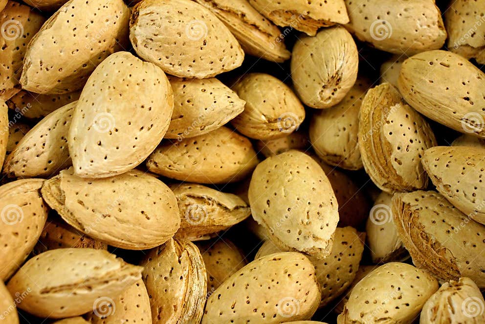 Unshelled Almonds stock photo. Image of shells, produce - 58020