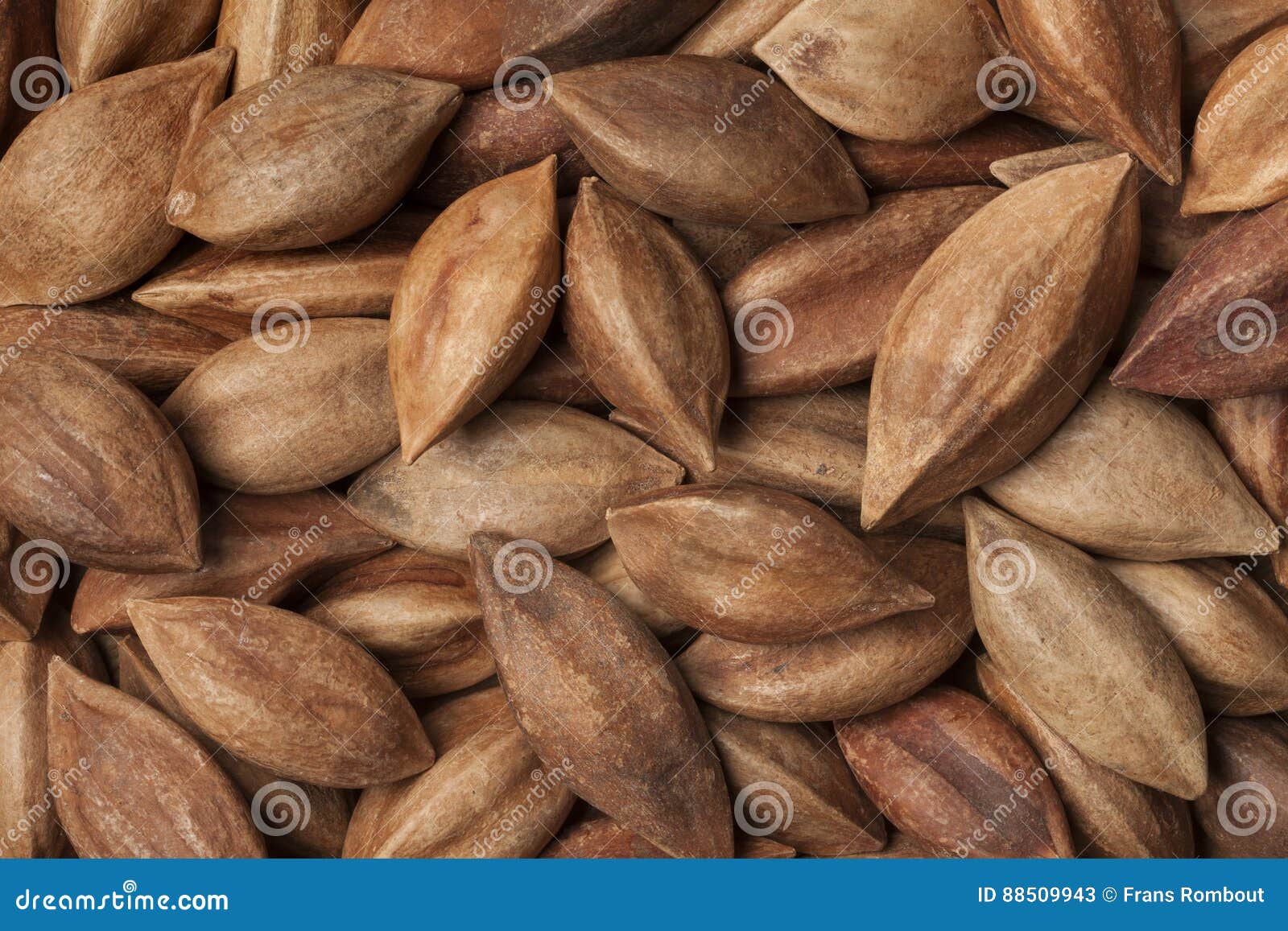 Unshelled Pili Nuts Full Frame Stock Image - Image of pili, seeds: 88509943