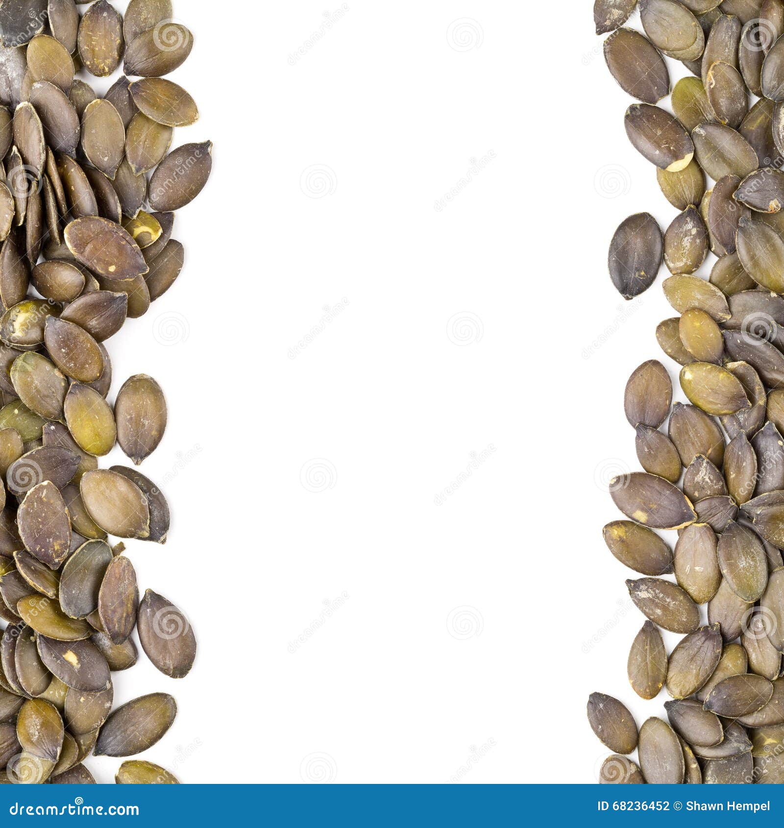 Unshelled Pumpkin Seeds Border Stock Photo - Image of detail, roasted ...