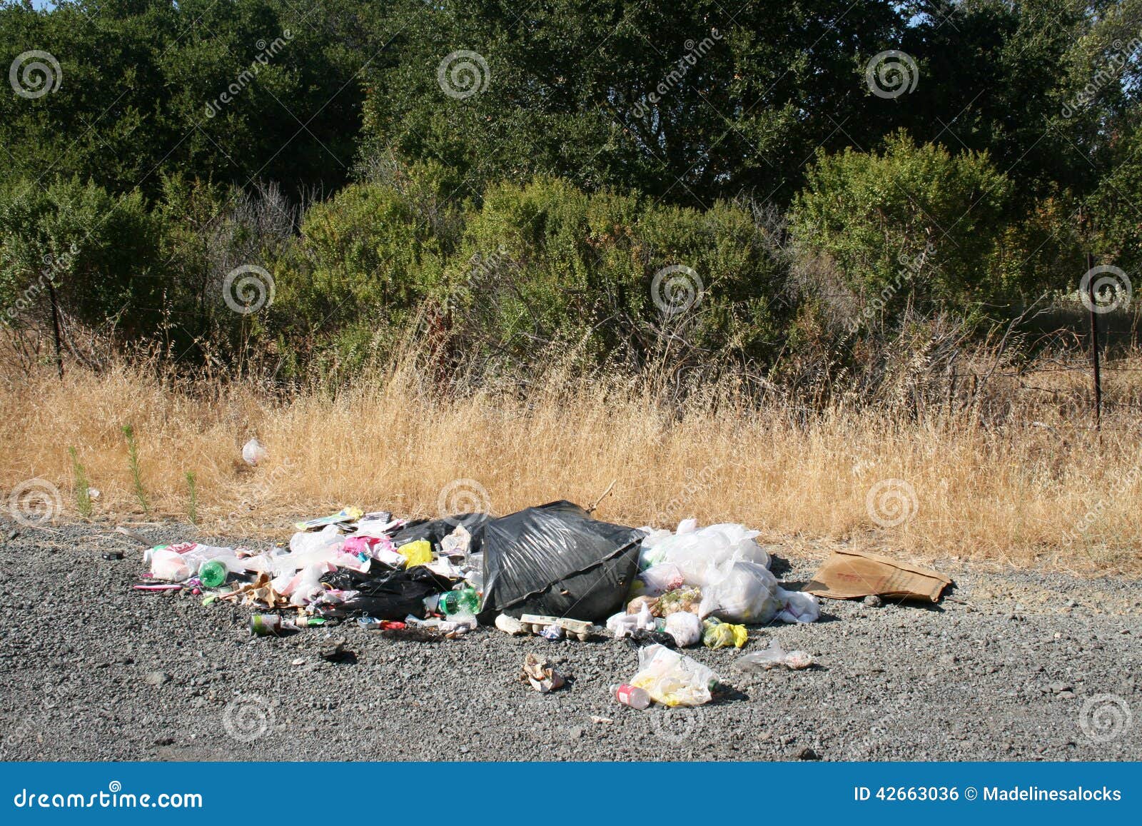 Unsightly trash stock photo. Image of environment, litter - 42663036