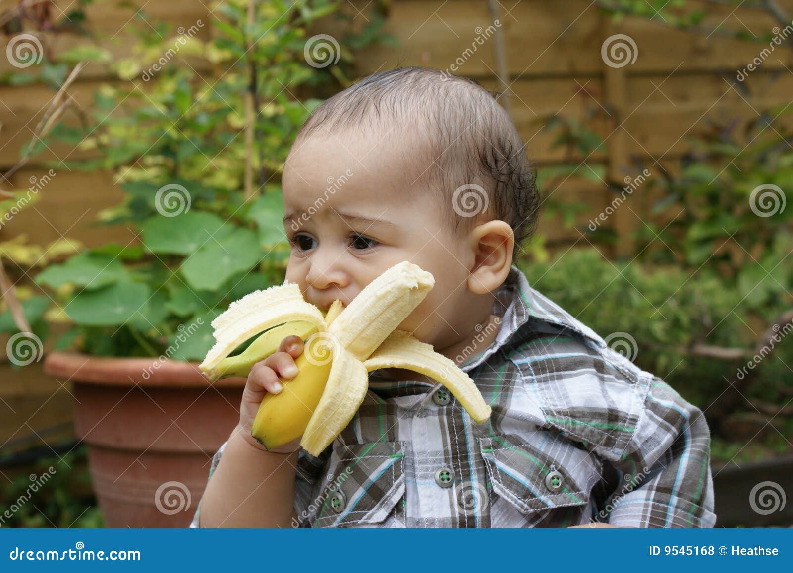 Unsure baby and banana 2 stock photo. Image of feeding - 9545168