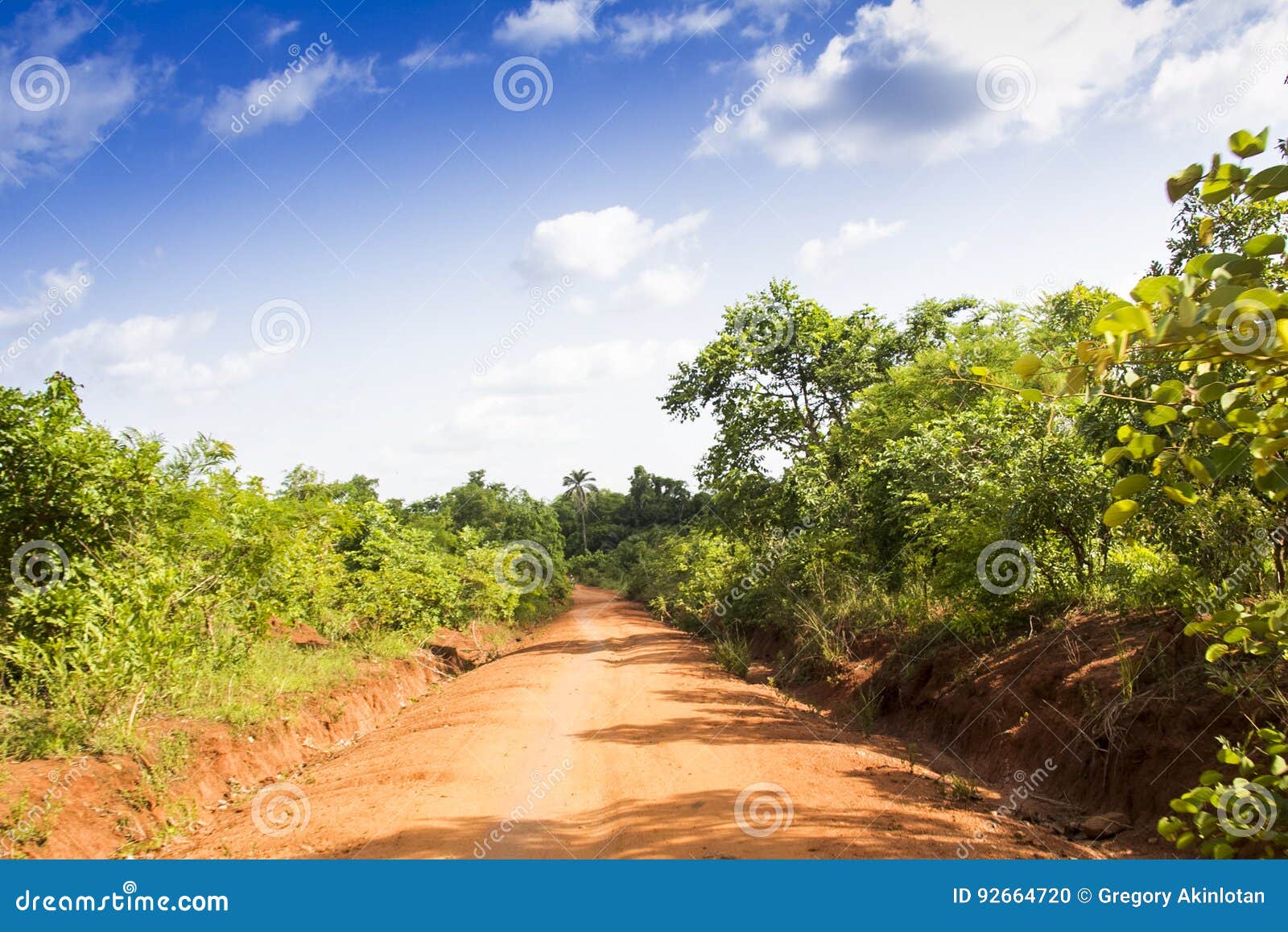 An untarred rural road stock photo. Image of cute, wild - 92664720