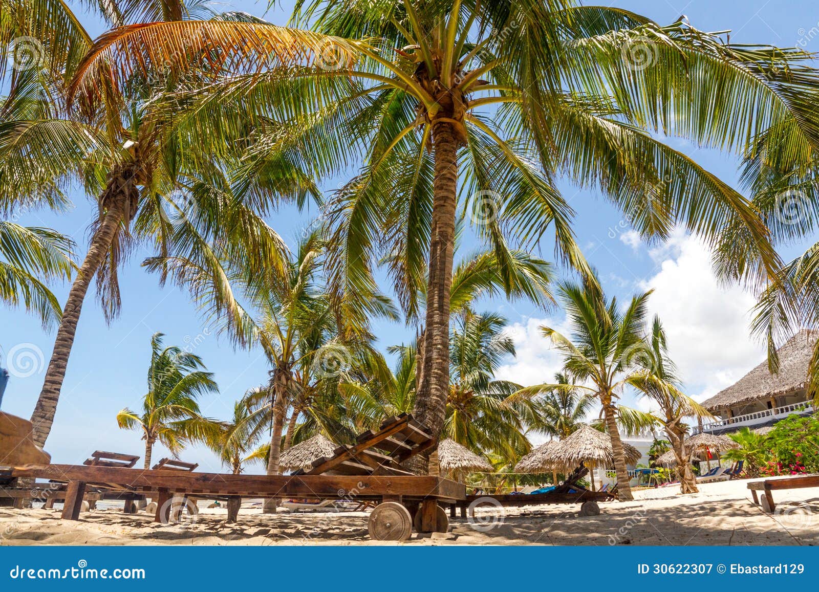 Unter Palmen in Der Watamu Bay, Kenya Stock Image - Image of lagoon ... Unter Palmen in Der Watamu Bay, Kenya Stock Image - Image of lagoon ...