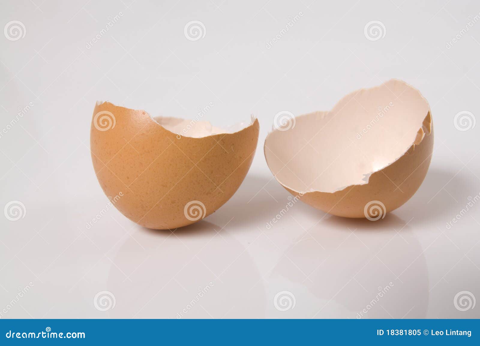 Unterbrochene Eierschale stockbild. Bild von leben, bedeckung - 18381805