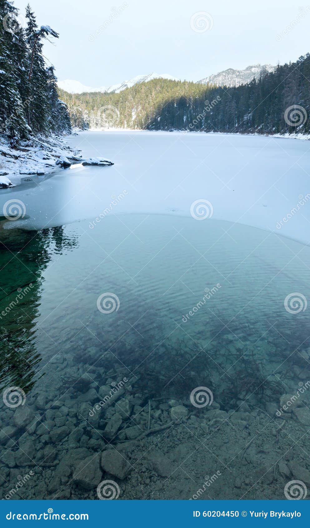 Untersee lake winter view. stock photo. Image of thin - 60204450