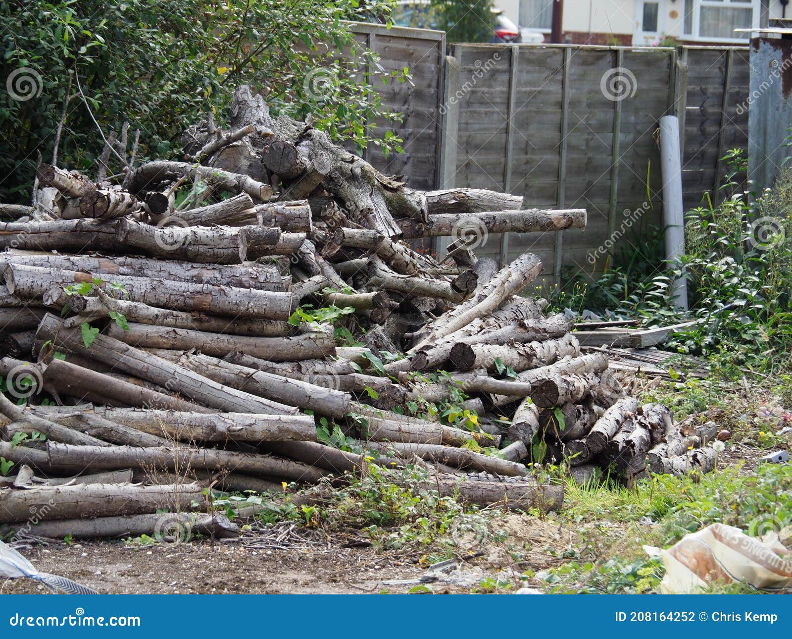 An Untidy Pile of Cut Thin Logs in a Yard Stock Photo - Image of stored, jumble: 208164252