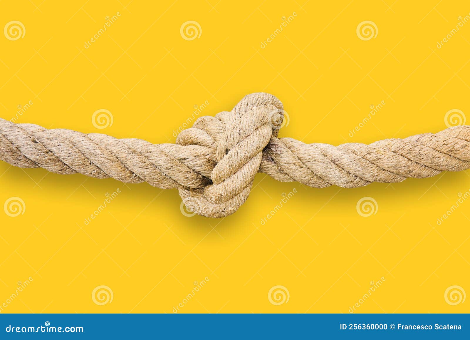 Untie the Knots - Problem Solving Concept Image on Yellow Background ...