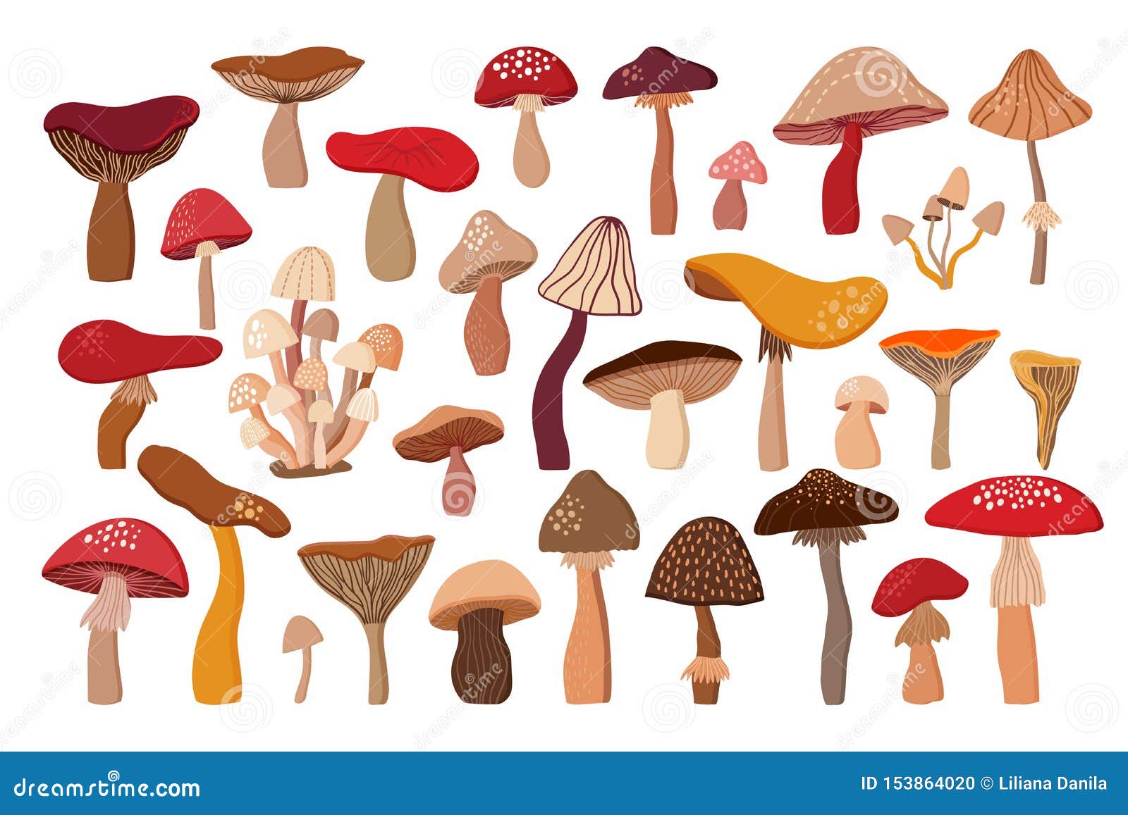 Different Between Elements Compounds And Mixtures With Examples Cartoon ...