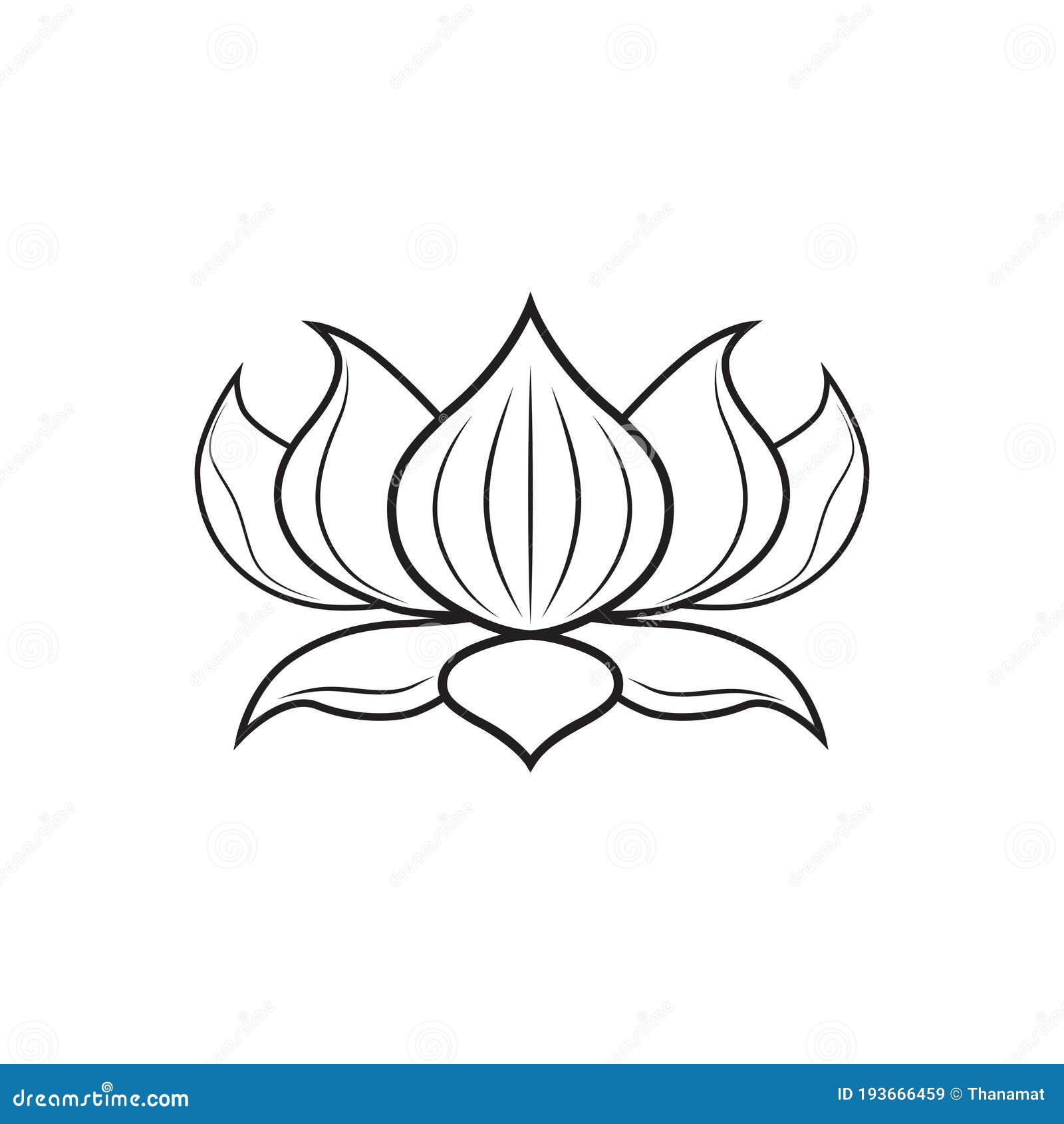 Outline of Lotus on White Background. Vector Illustration Stock Vector ...