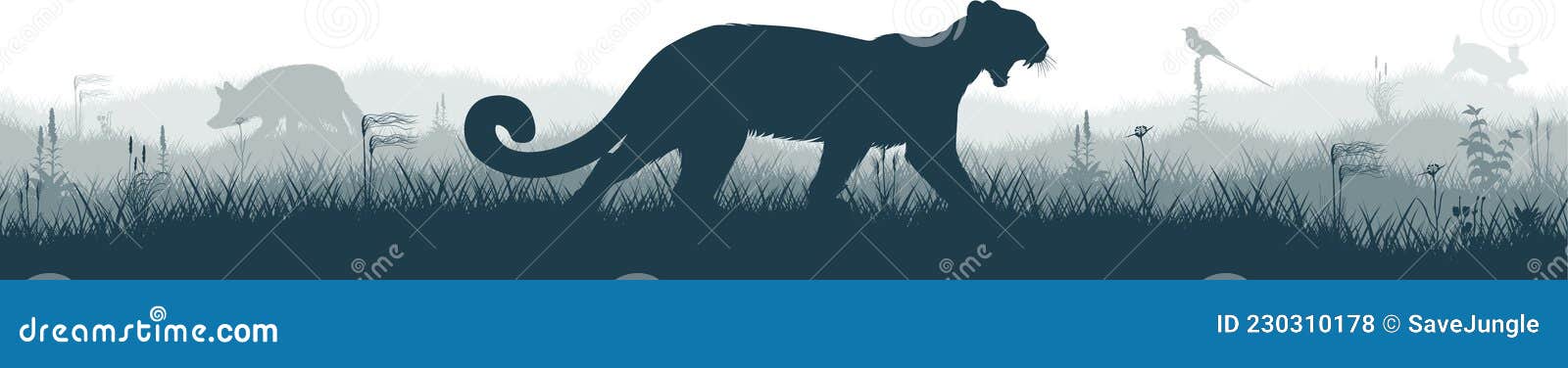 Lion-tailed Macaque Or Macaca Silenus Or Wanderoo, Vector Silhouette ...