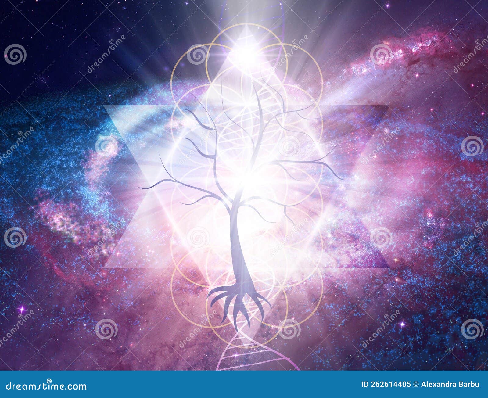 Merkaba Symbol, Flower of Life, Seed of Life and Tree of Life, Sacred ...