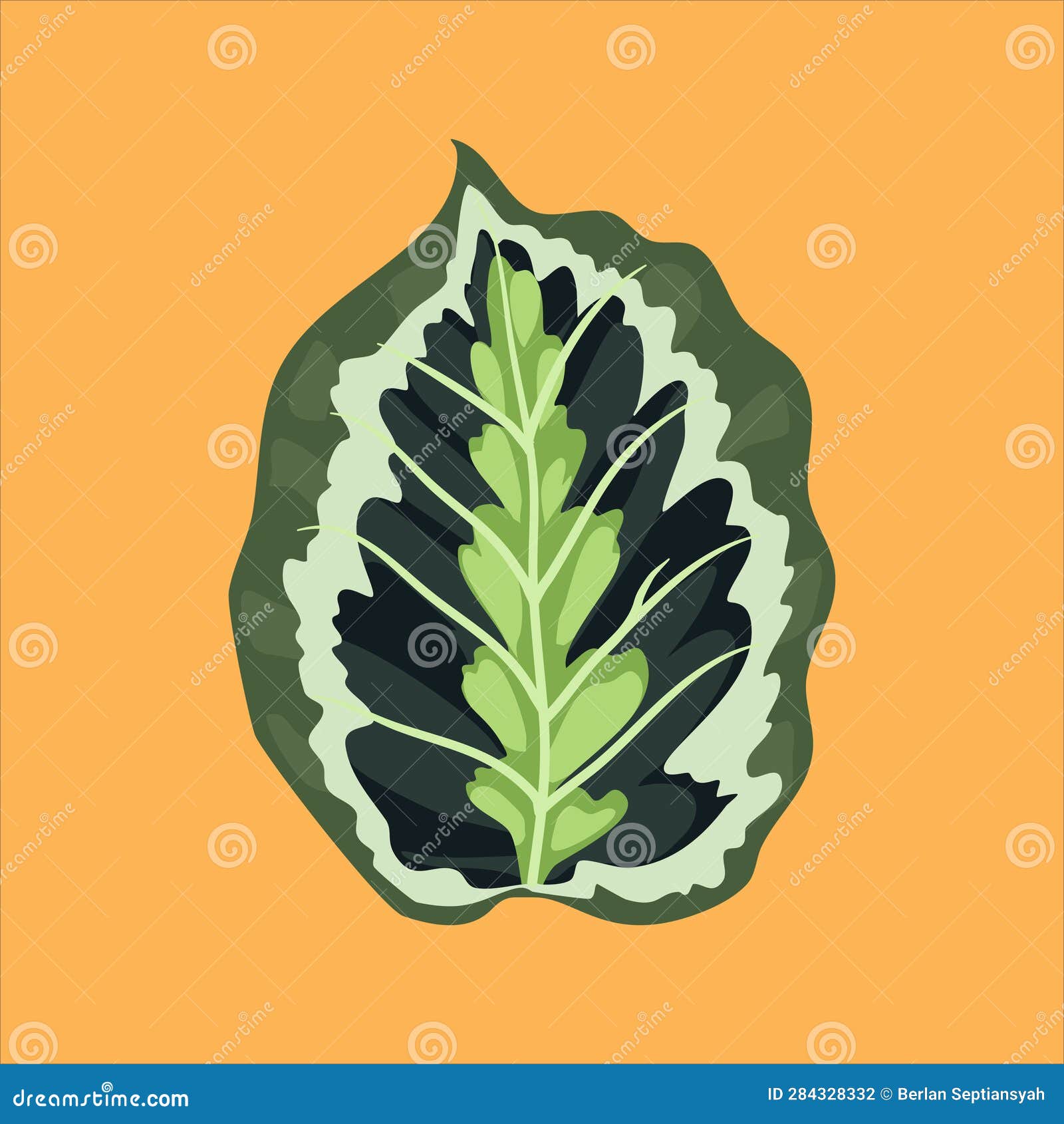Marantaceae Leaf Vector Illustration Plant Floral Eps File Vintage ...
