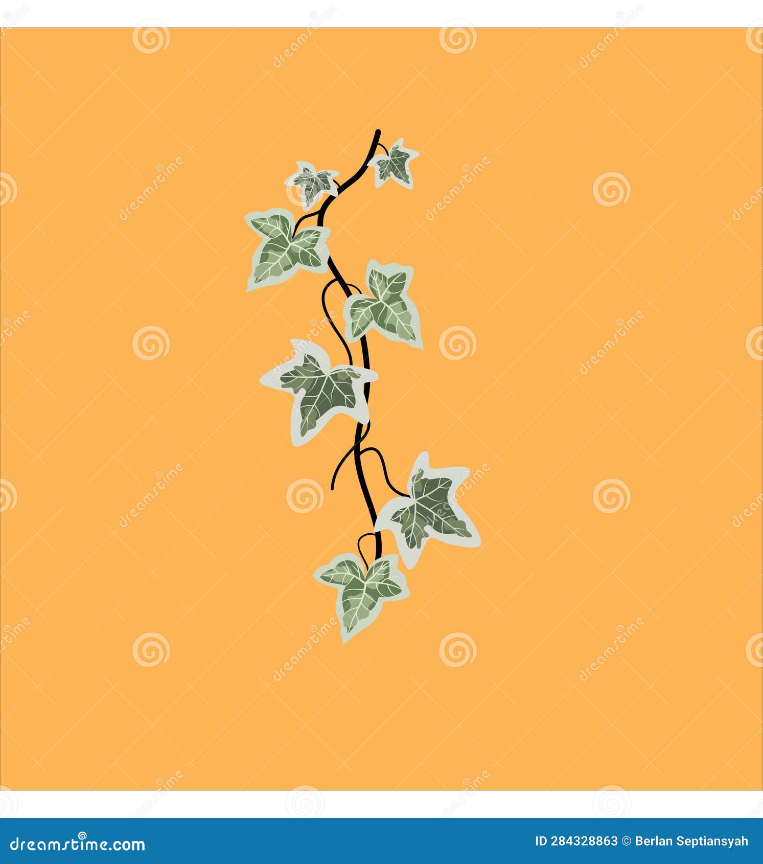 Ivy Hedera Leaf. Ink Black And White Doodle Drawing Vector Illustration ...