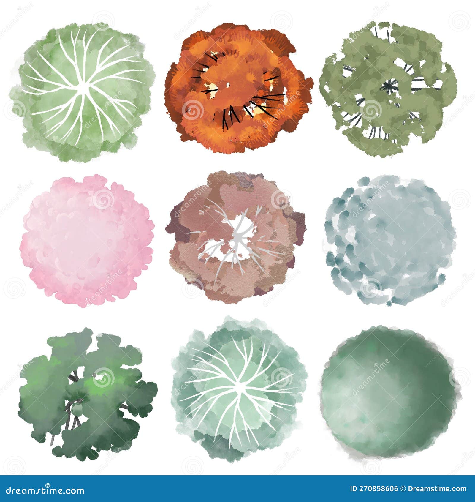 Trees Top, Plans Trees Isolated Isolated on White Background Stock ...