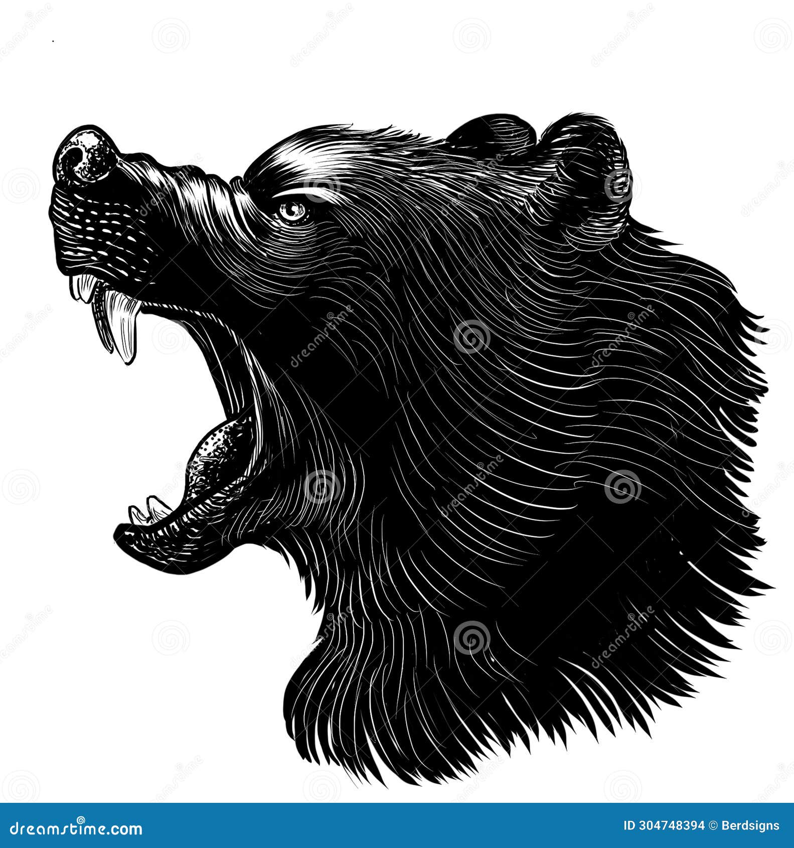 Roaring bear head stock illustration. Illustration of cartoon - 304748394