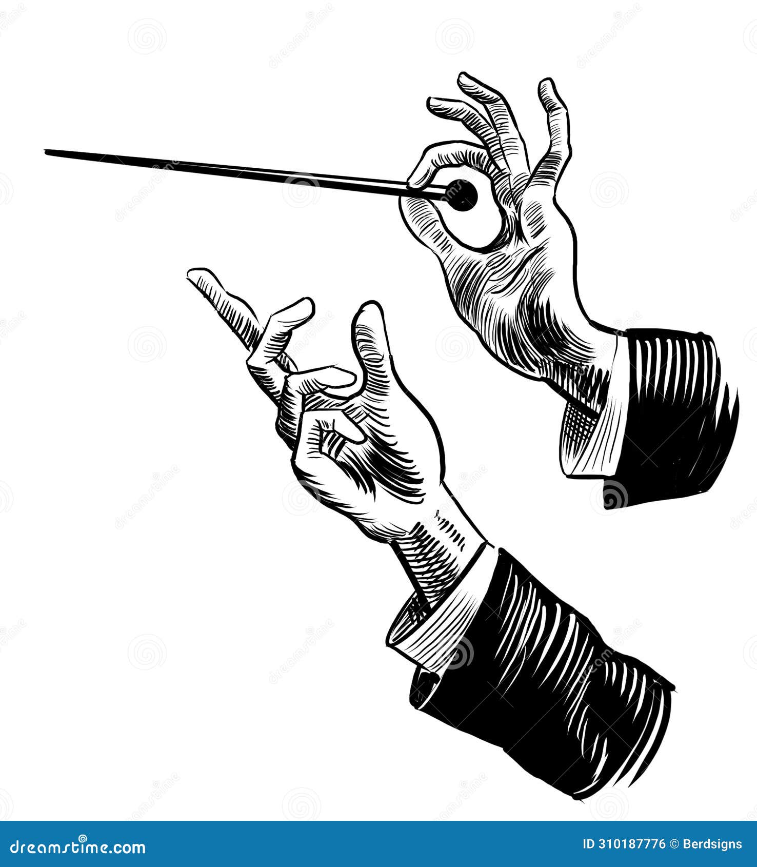 Musical conductors hands stock illustration. Illustration of holding ...