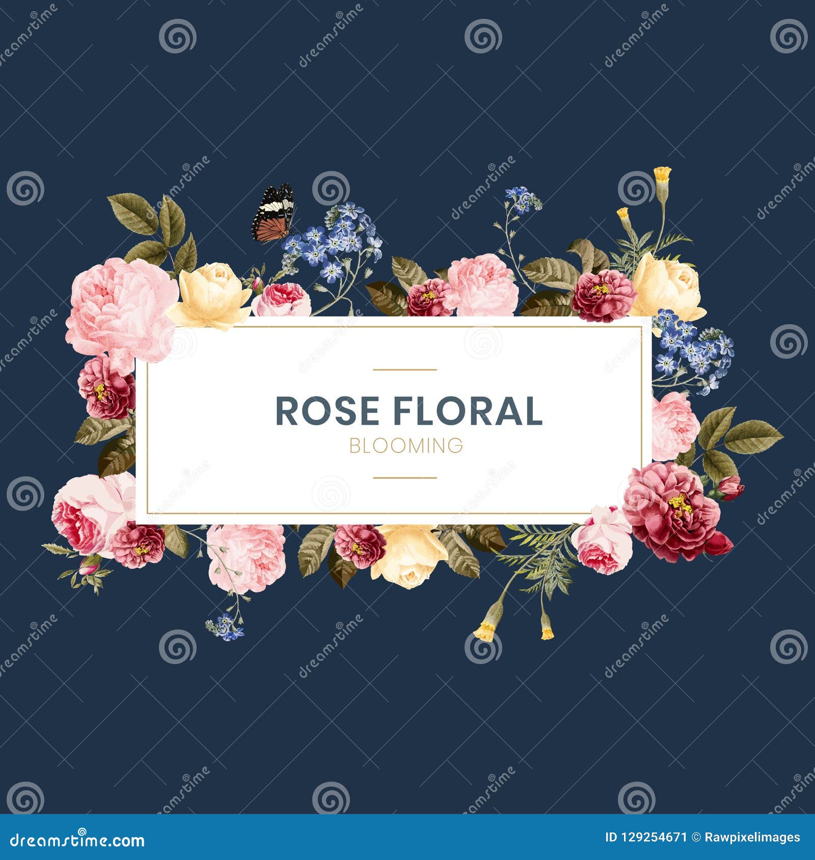 Blooming Rose Floral Frame Illustration Stock Vector - Illustration of ...