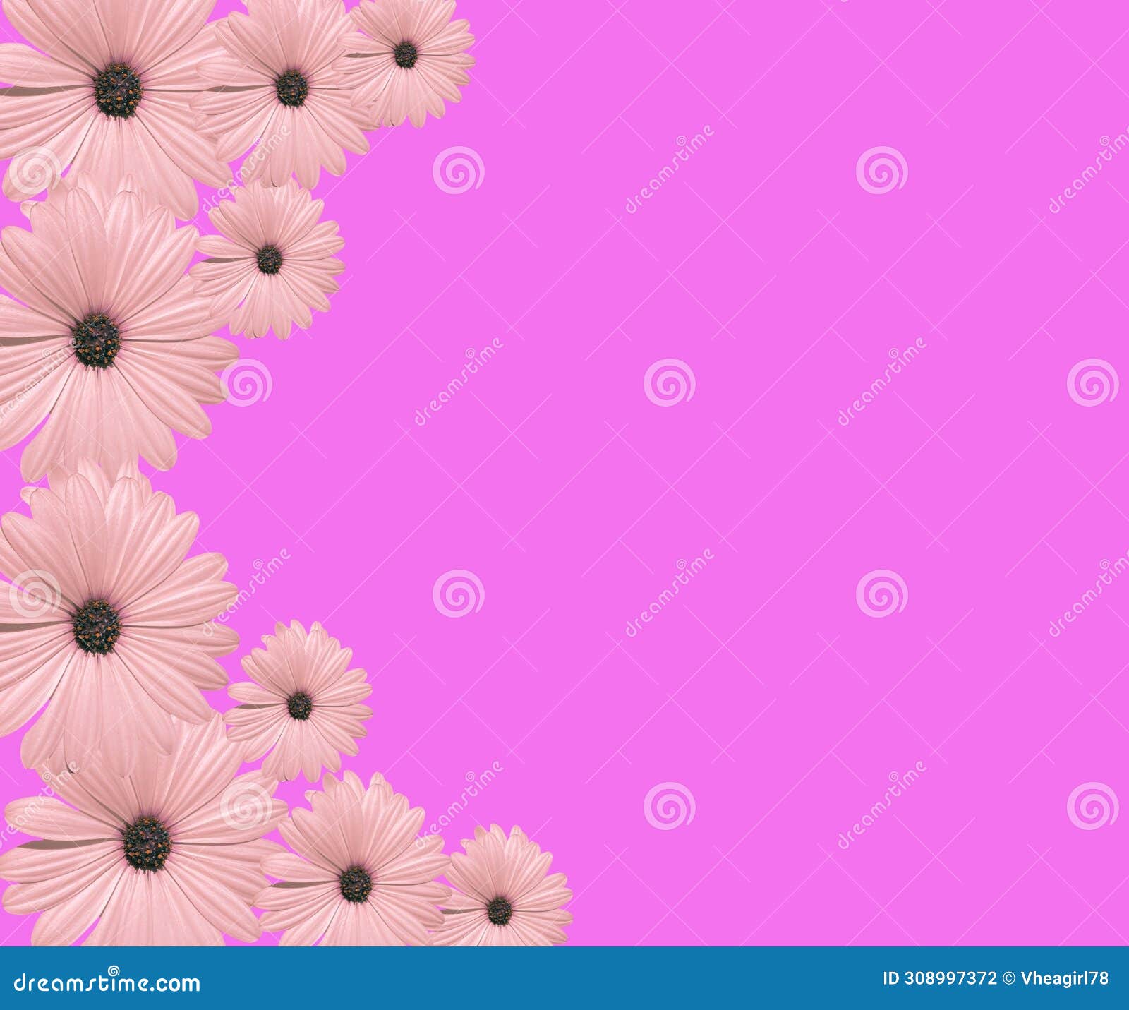 Design for Card a Template Decorated in Pink Flower and Dark Pink ...