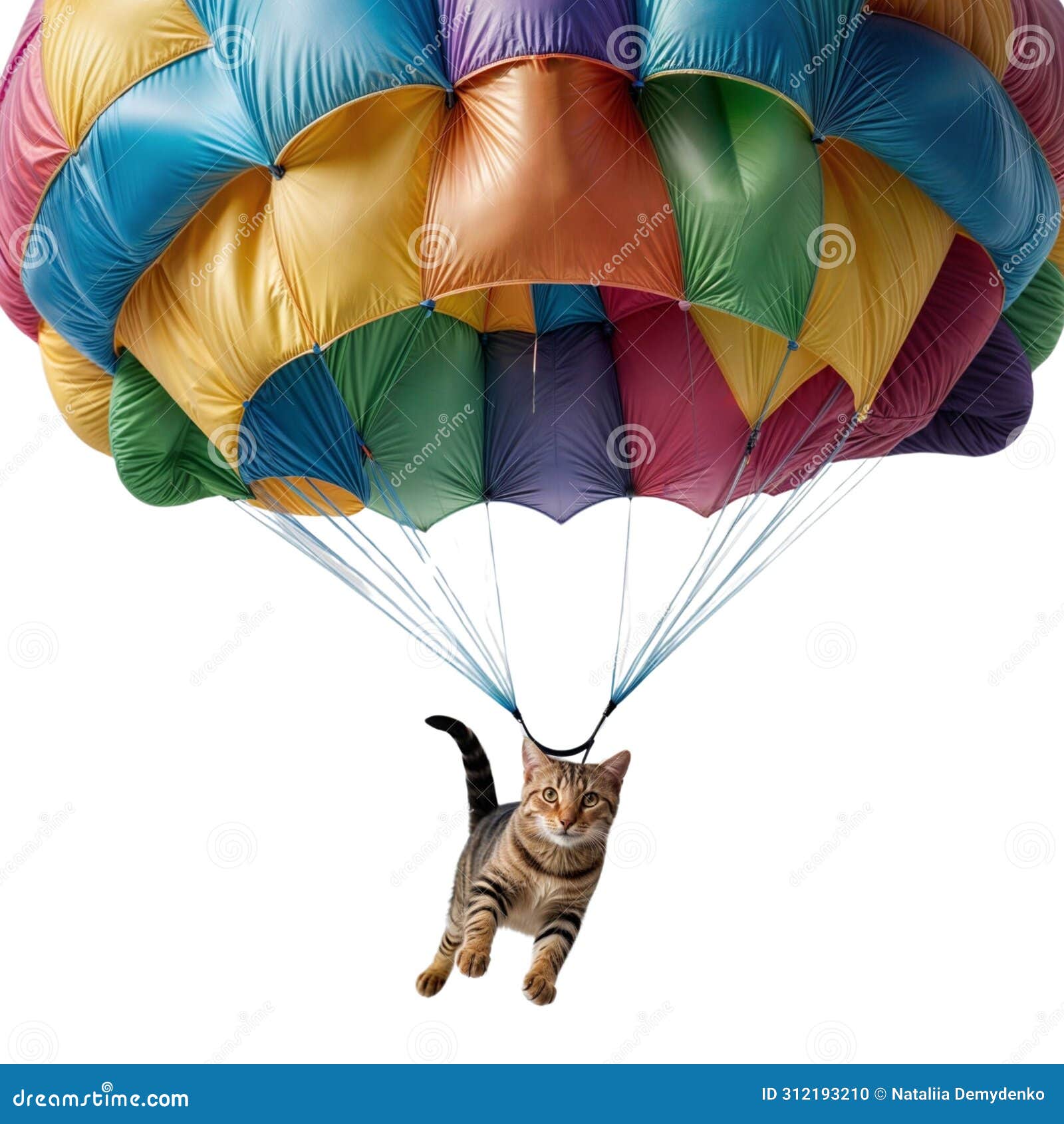 Cute Red-black Cat Flies on a Colored Parachute Stock Illustration ...