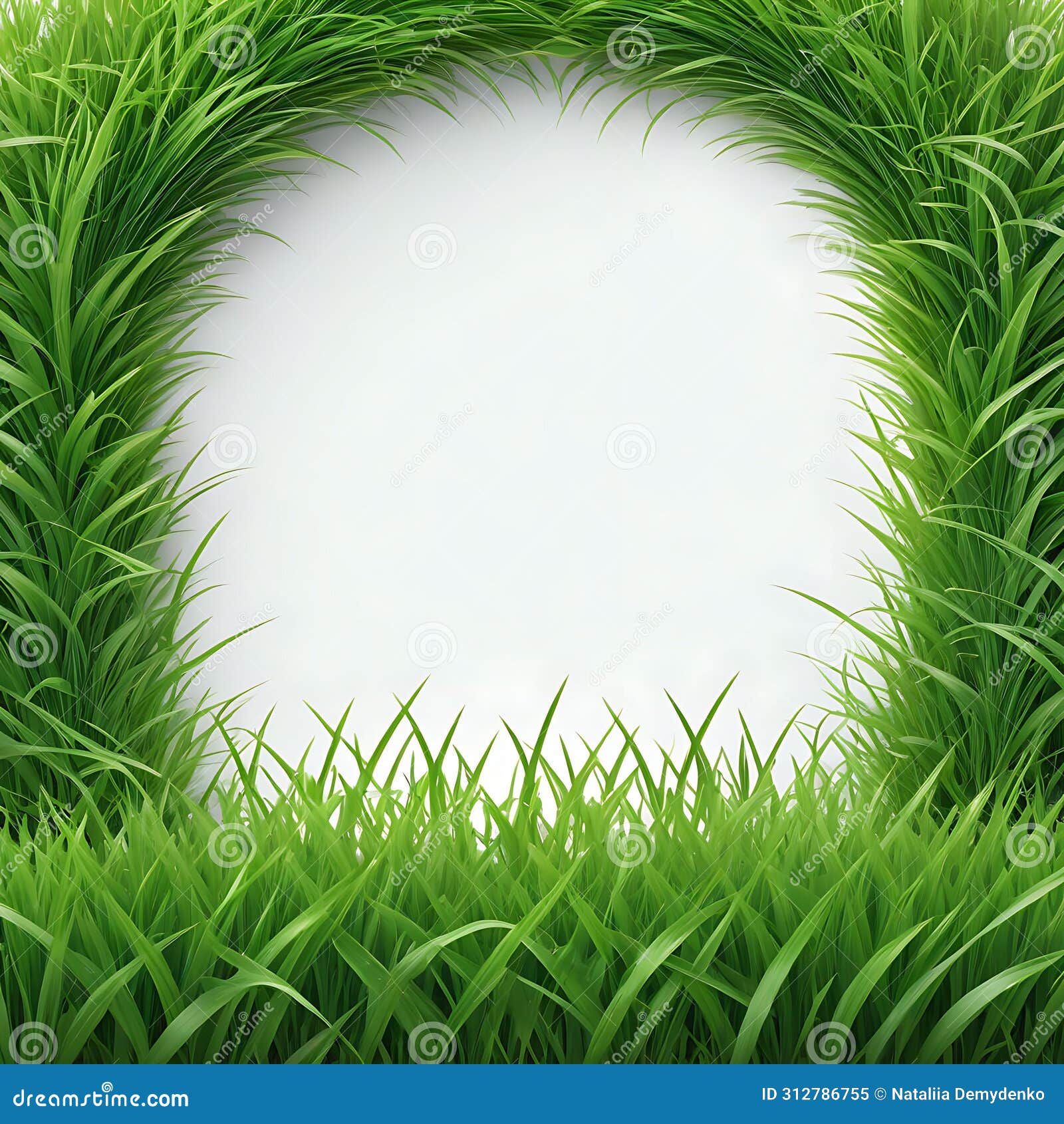 Eco Background White Along the Perimeter Green Grass Grows Bg for Post ...