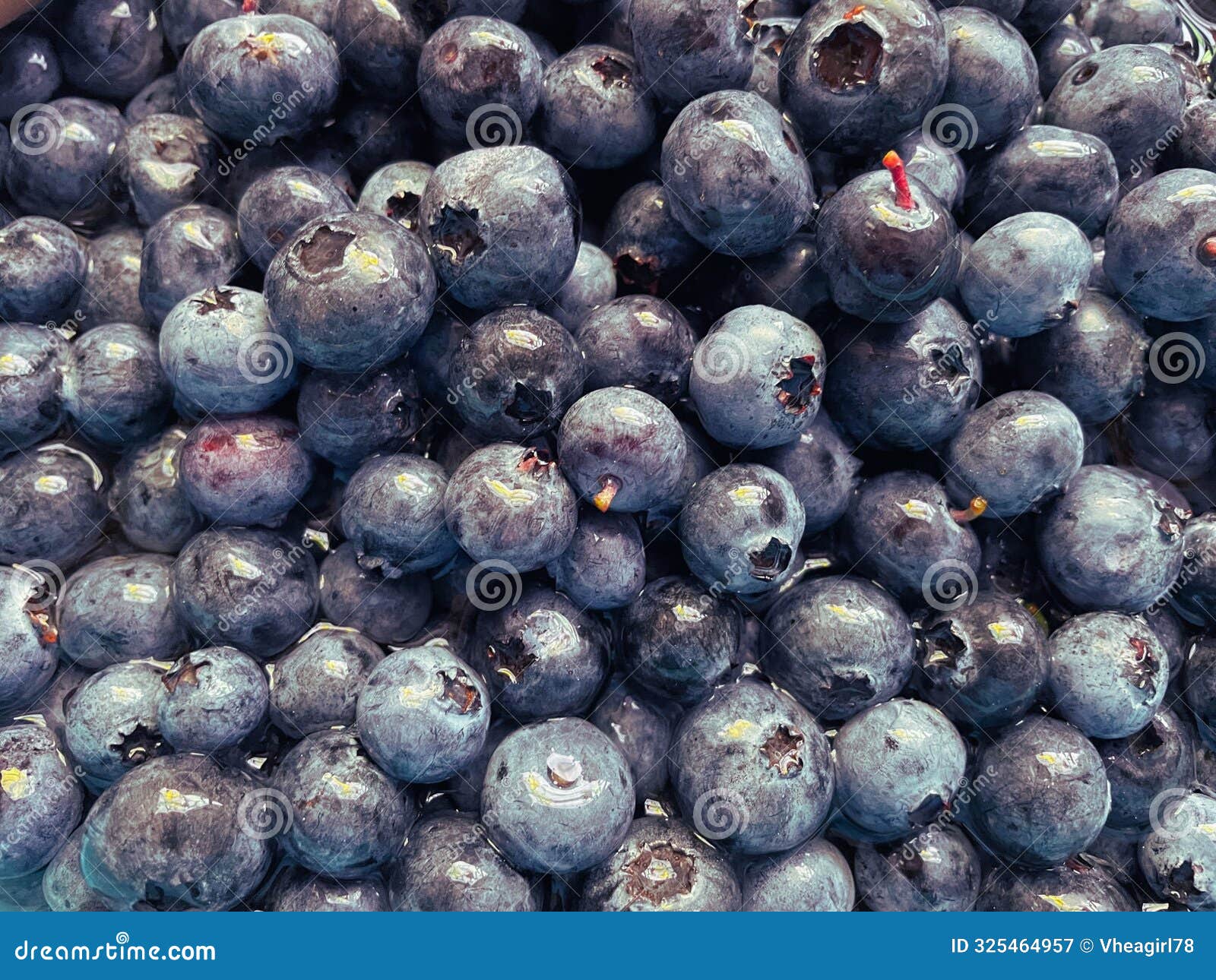Blueberries Healthy Delicious Fruit Fresh Pick and Wash Stock Image ...