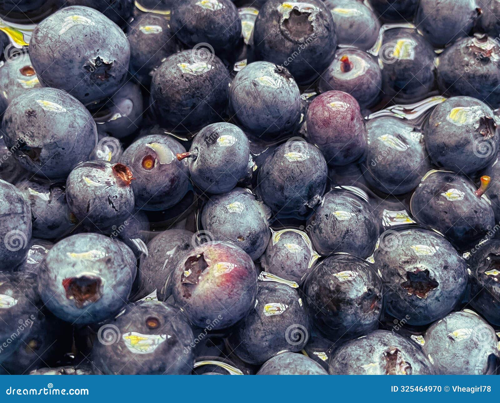 Blueberries in the Water Fresh Pick Fruit with Water Effect Sparkles ...
