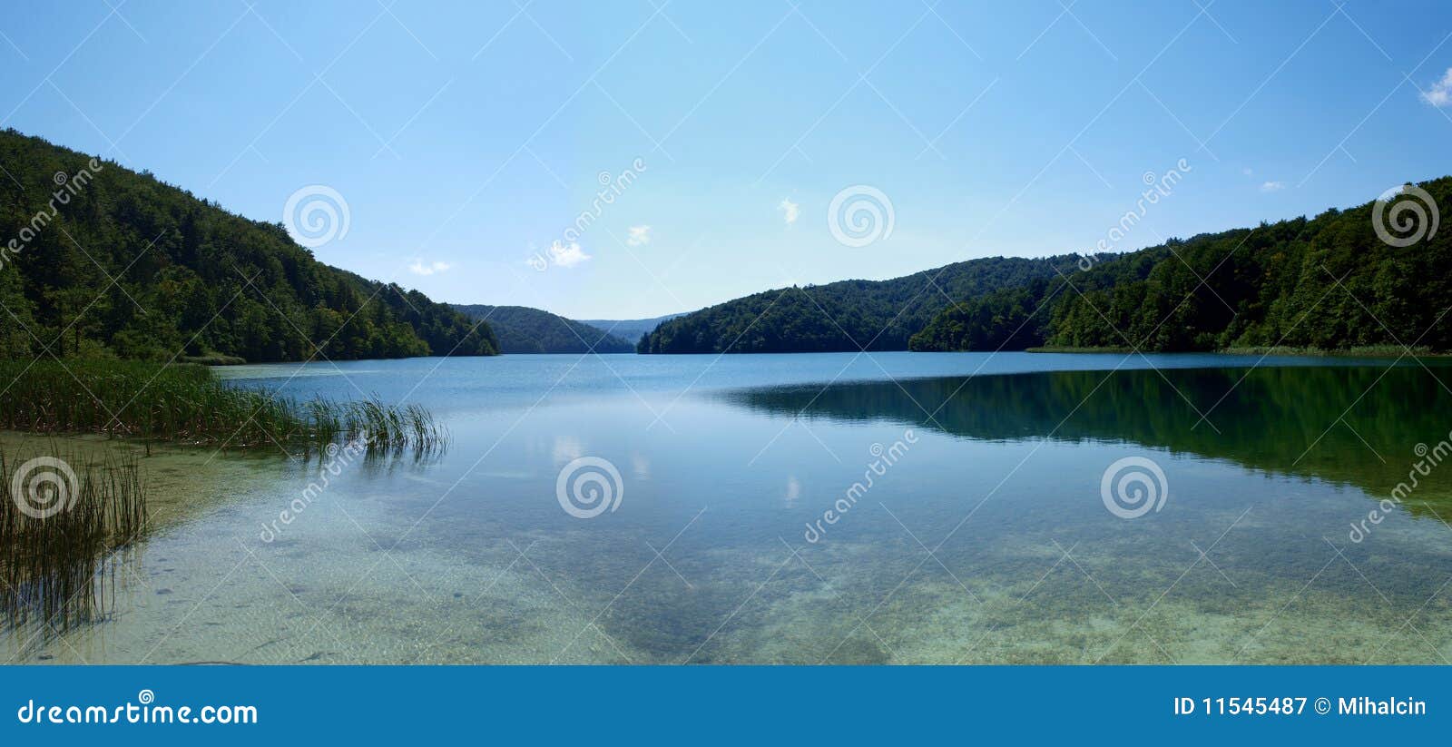 Untouched nature stock image. Image of environment, evergreen - 11545487