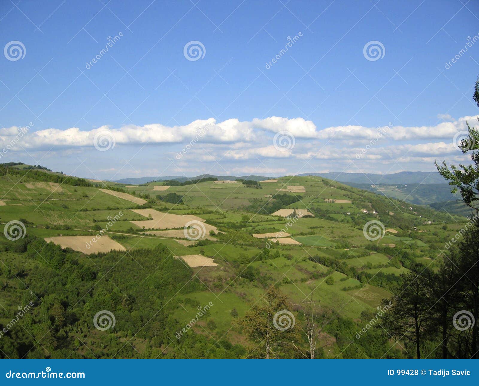 The Untouched nature stock photo. Image of cloudly, watle - 99428