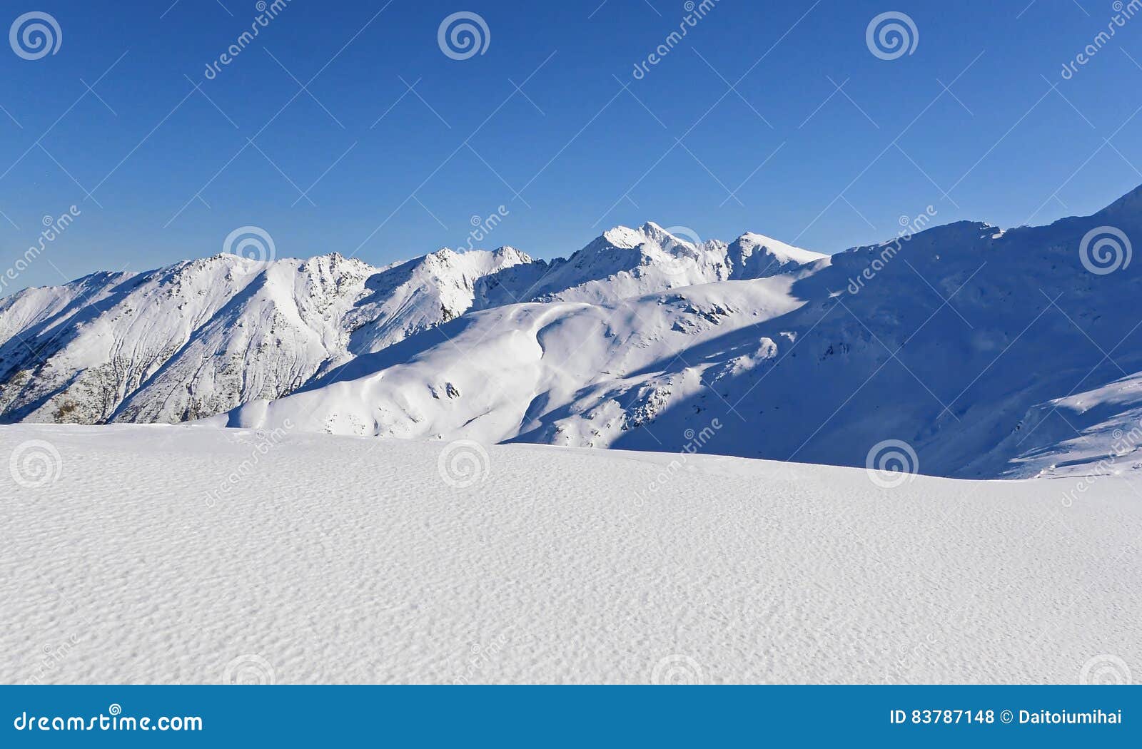 Untouched snow stock photo. Image of landscape, frozen - 83787148