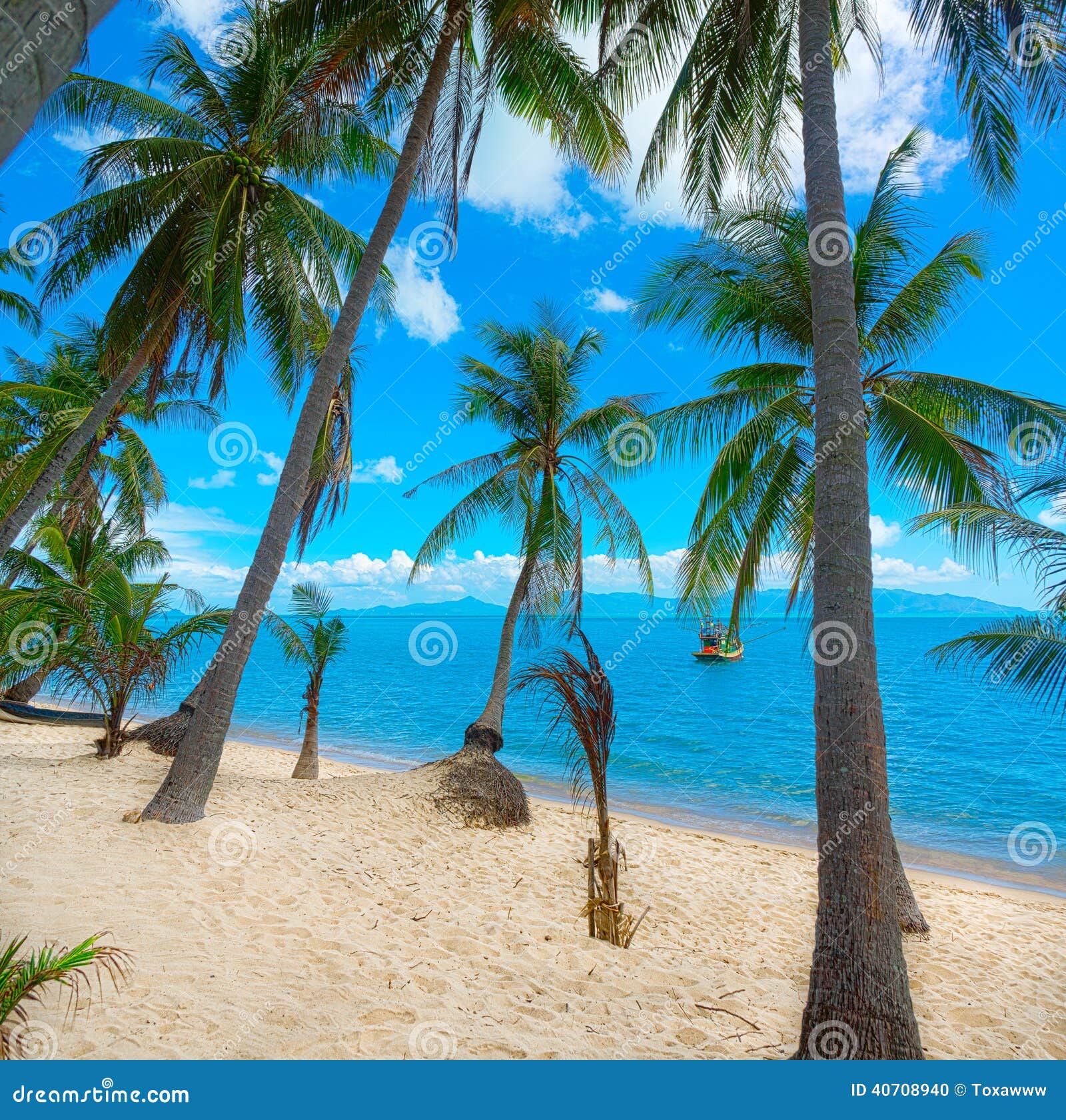 Untouched tropical beach stock photo. Image of trees - 40708940