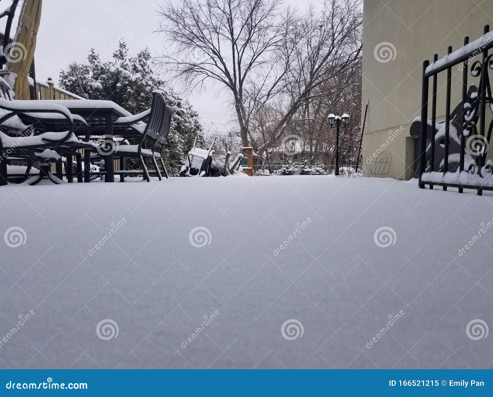 Untouched and Unstepped Snow Stock Image - Image of backyard, unstepped ...