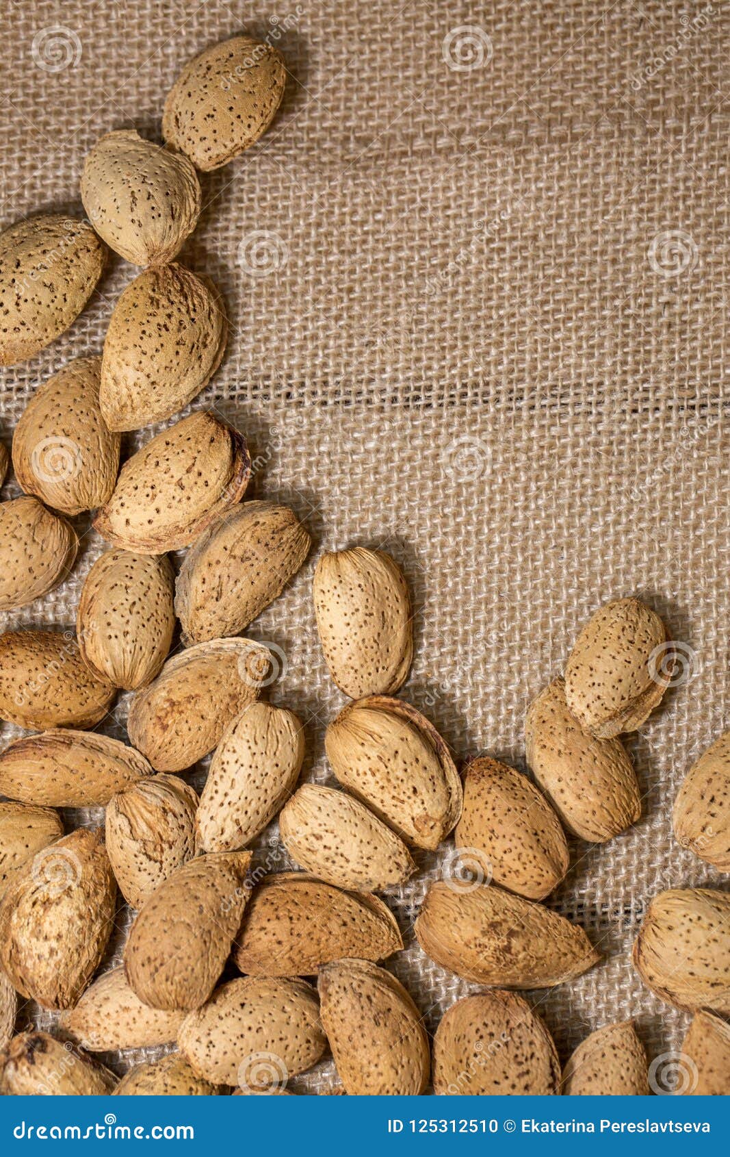 Untreated Almonds Lying on the Surface of the Burlap Stock Photo ...
