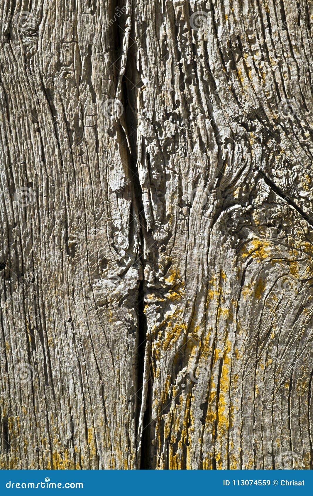 Untreated Construction Wood Beam Full Frame Background Texture Stock ... Untreated Construction Wood Beam Full Frame Background Texture Stock ...