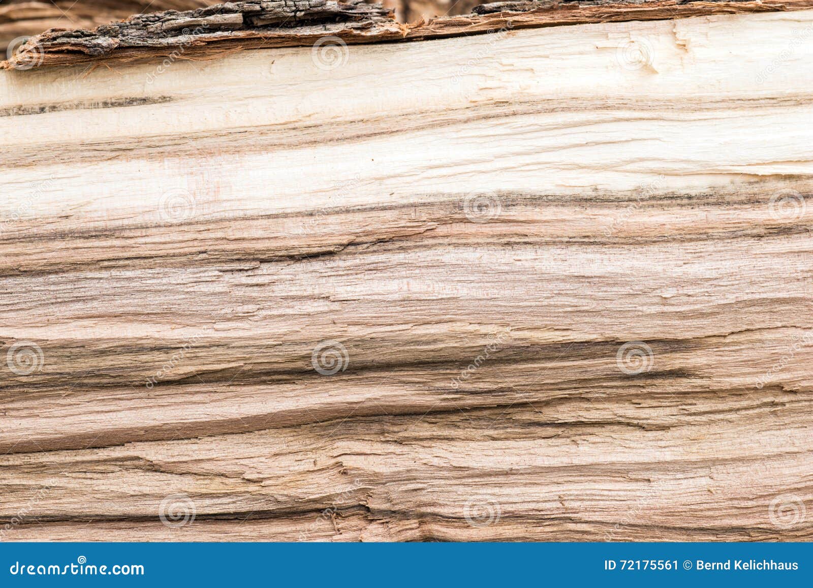 Untreated Wood Structure As Background Stock Image - Image of natural ...