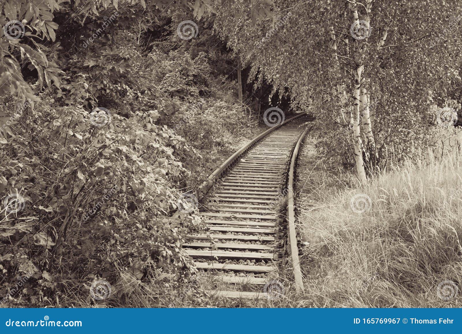 Unused old railway tracks stock image. Image of tracks - 165769967