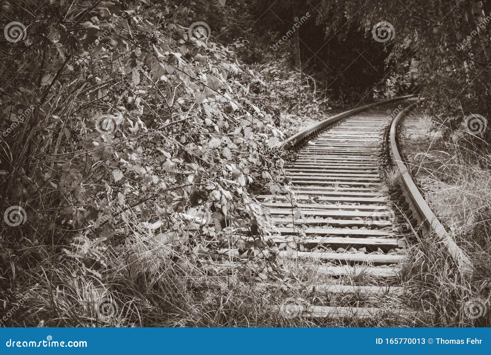 Unused old railway tracks stock image. Image of rust - 165770013