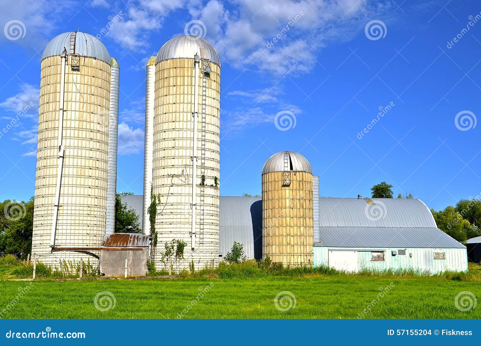 Unused Silos in Front of an Empty Dairy Barn Stock Photo - Image of ...
