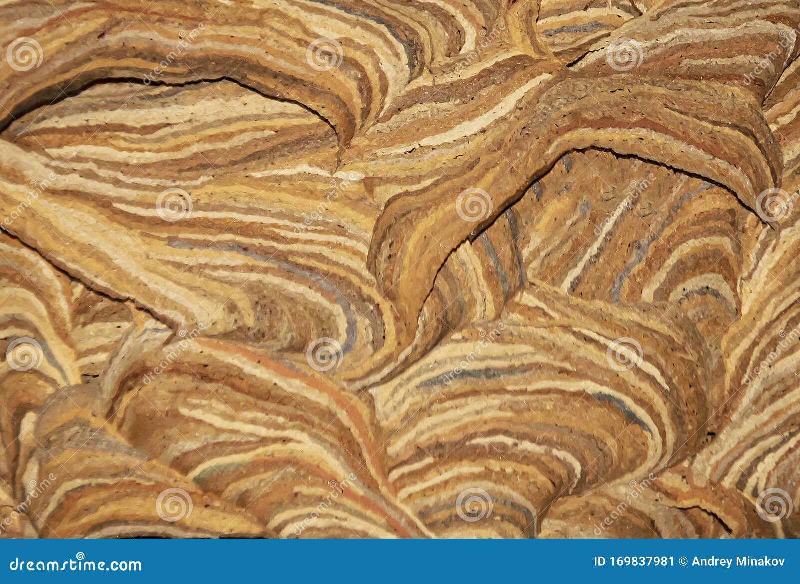 Unusual Abstract Texture Wasp Hive Spherical Nest Colored Stripes Stock ...