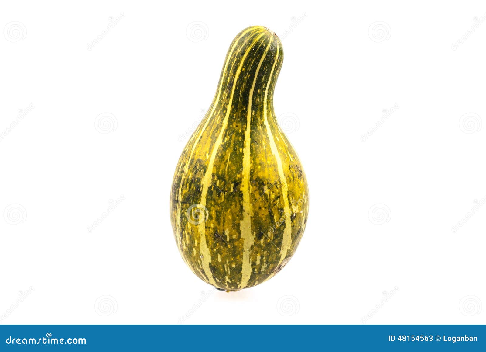 Unusual gourd on white stock image. Image of seasonal - 48154563