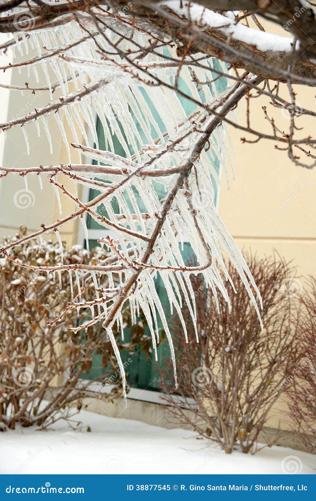 Unusual Icicles on Tree Branches Stock Image - Image of slanted ...