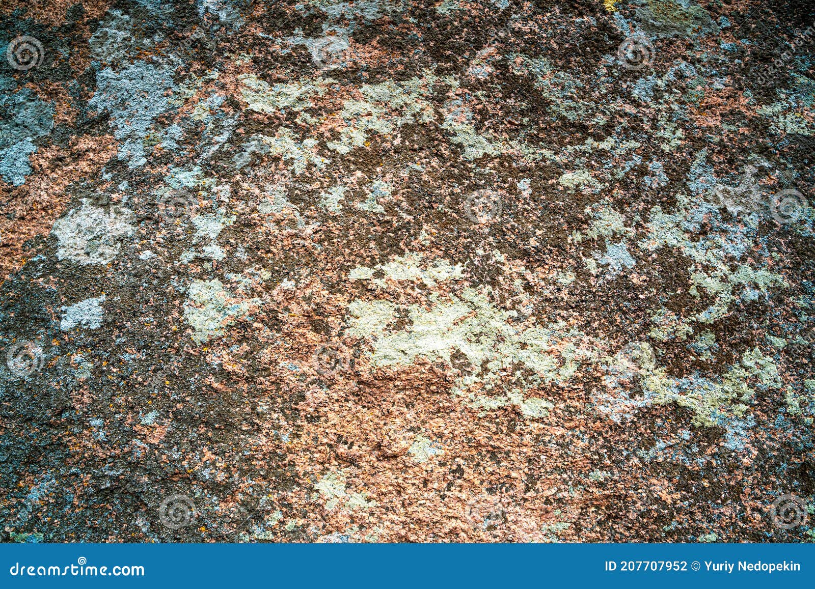 Multi-colored Mold Texture on the Stones Stock Photo - Image of fungus ...