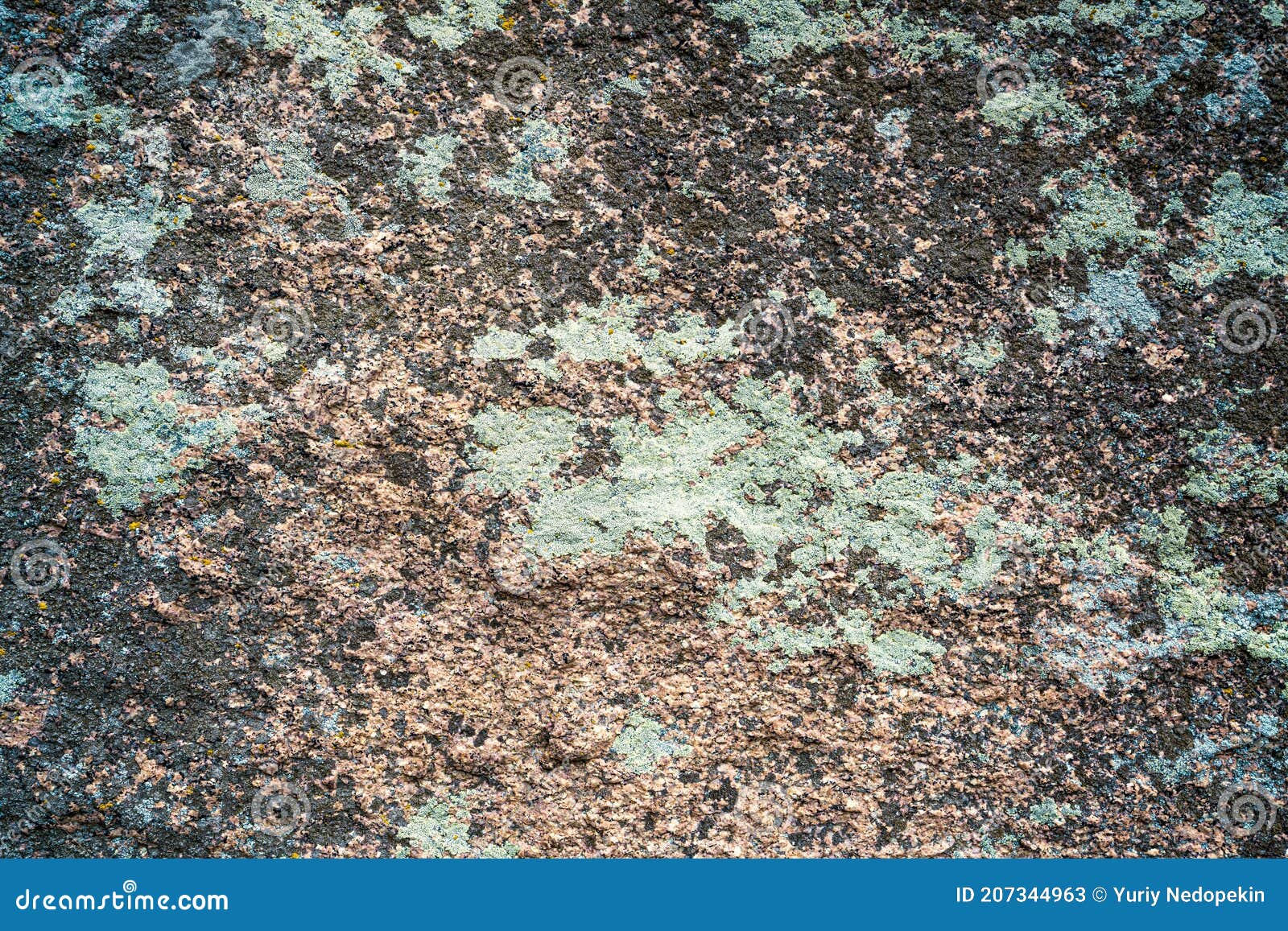 Multi-colored Mold Texture on the Stones Stock Image - Image of ...