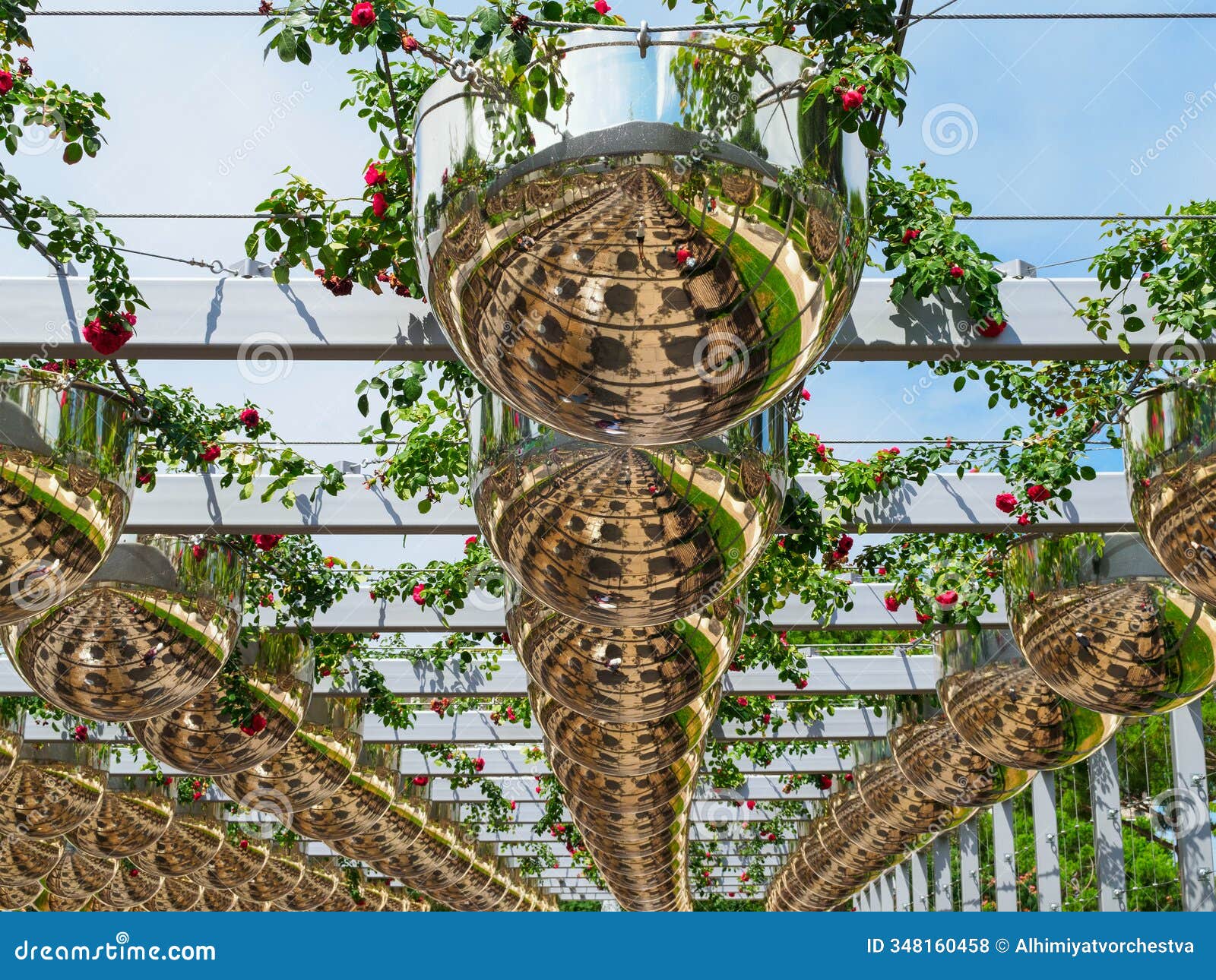 Unusual planters for roses stock photo. Image of gardening - 348160458