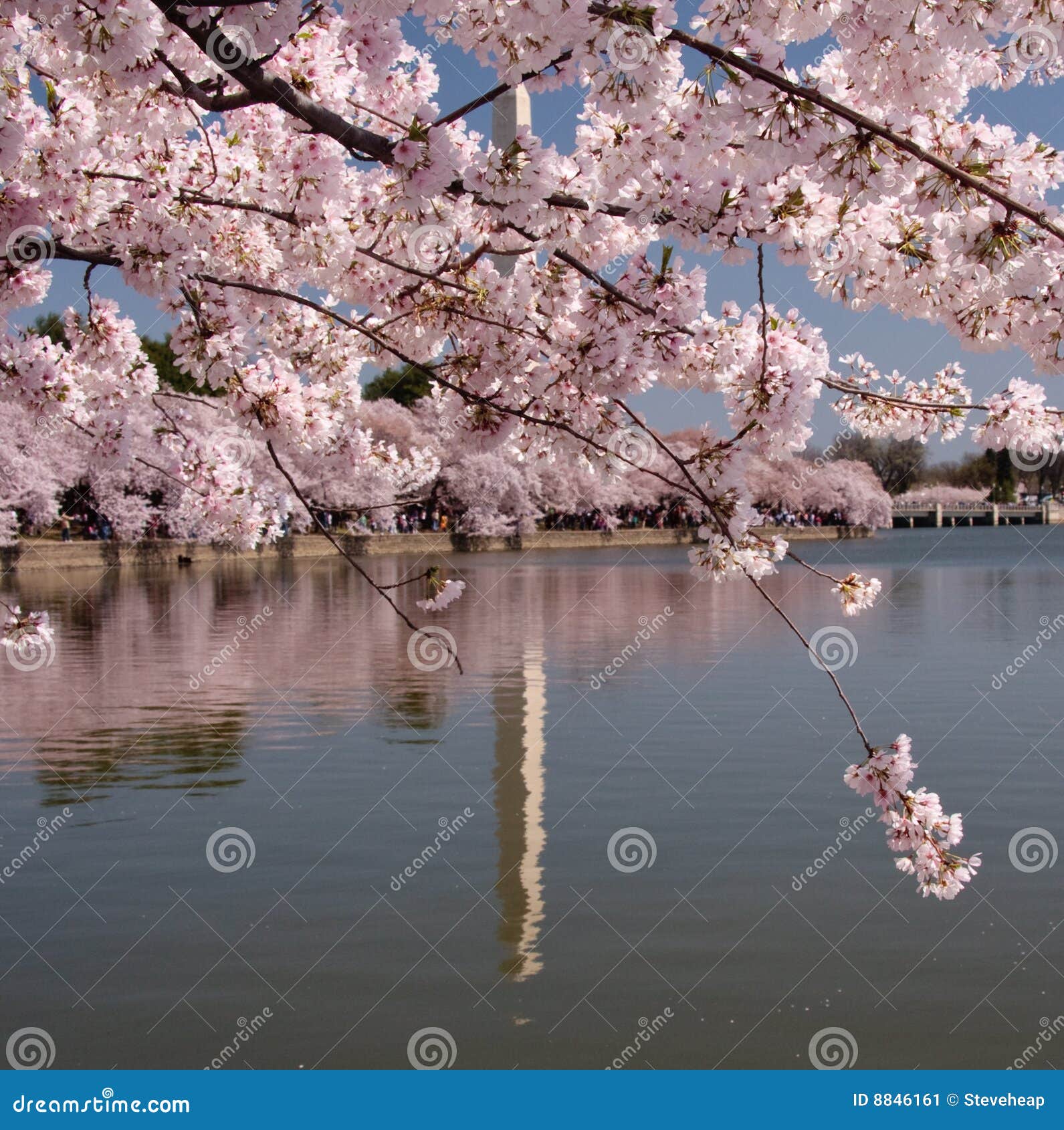Unusual Reflection of Washington Monument Stock Image - Image of ...