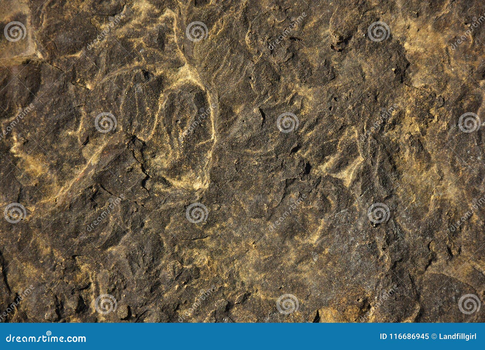 Unusual Rock Formation Texture Stock Image - Image of nature, mineral ...