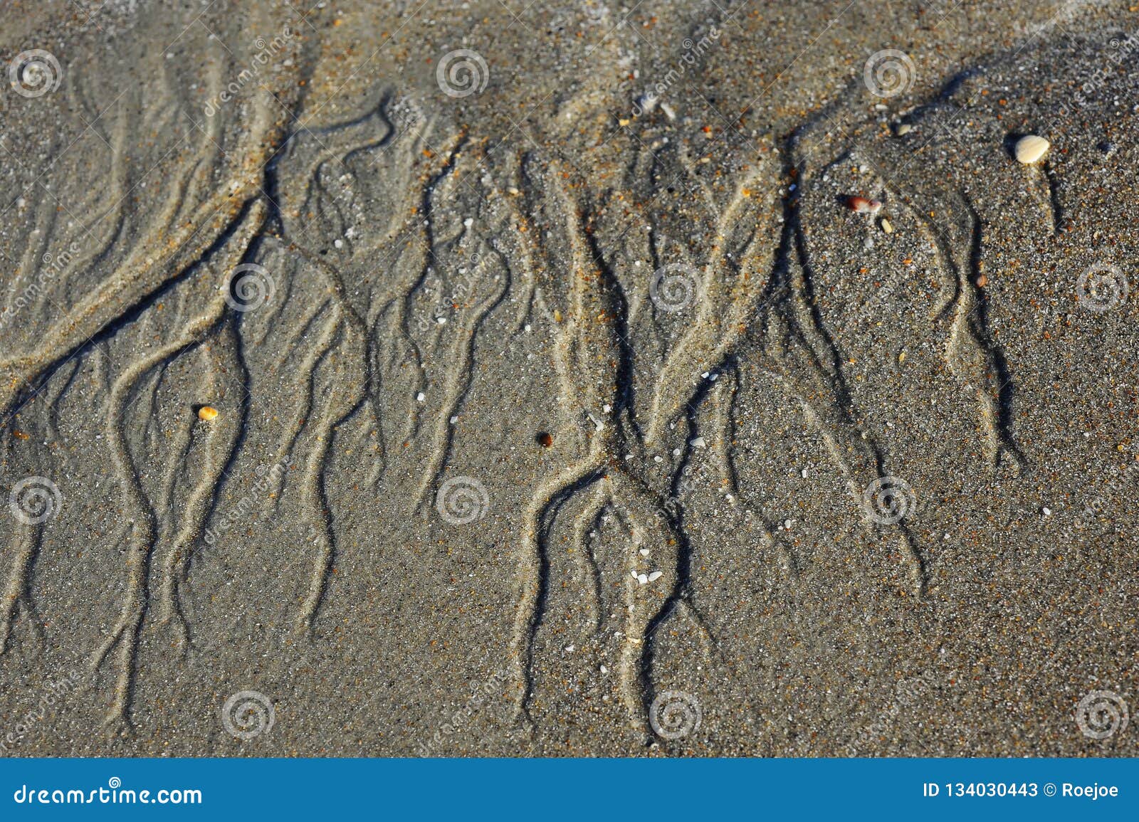 Unusual Sand Patterns on Ocean Beach Stock Image - Image of formation ...