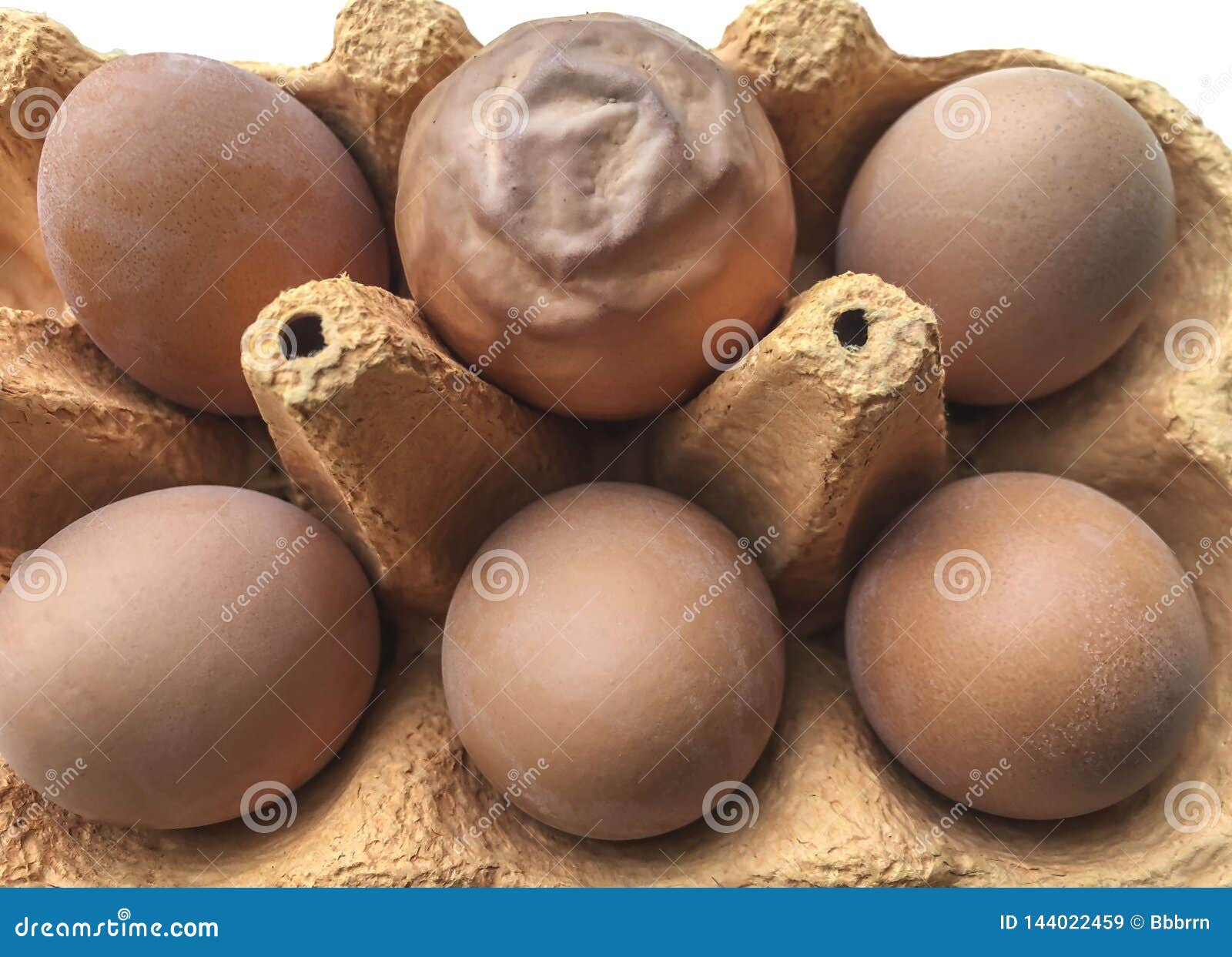 Unusual Shaped Egg because of a Disease Stock Image - Image of eggshell ...