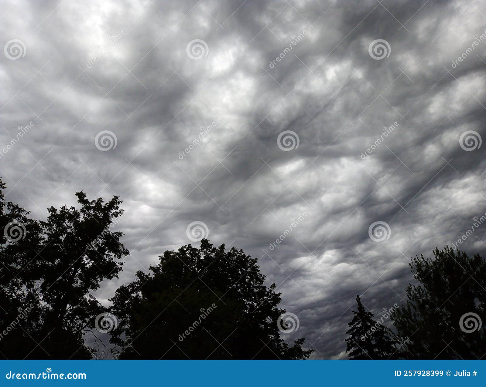 Unusual sky stock image. Image of trees, city, nature - 257928399