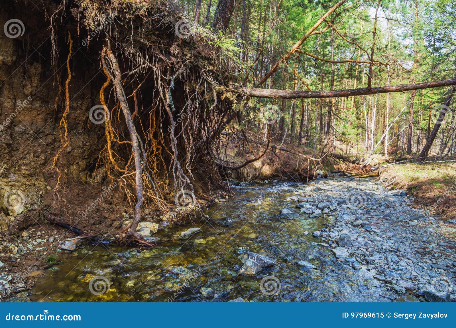 Unusual spring landscape. stock image. Image of rock - 97969615